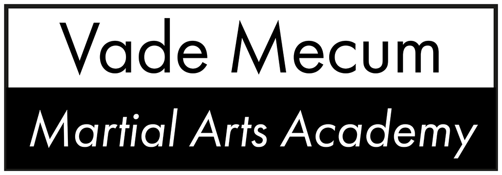 Vade Mecum Academy | e-learning platform for kung fu